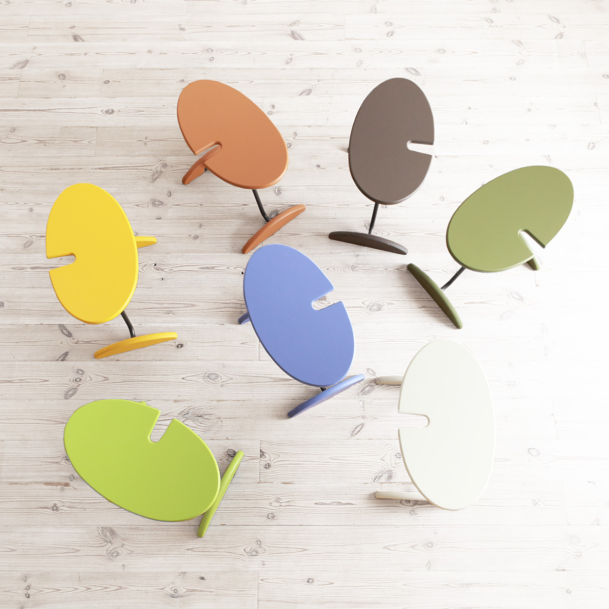 YU WATANABE / 渡辺 優